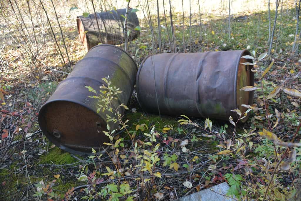 The Little Minimalists - Minimalizing One Little Step at a Time